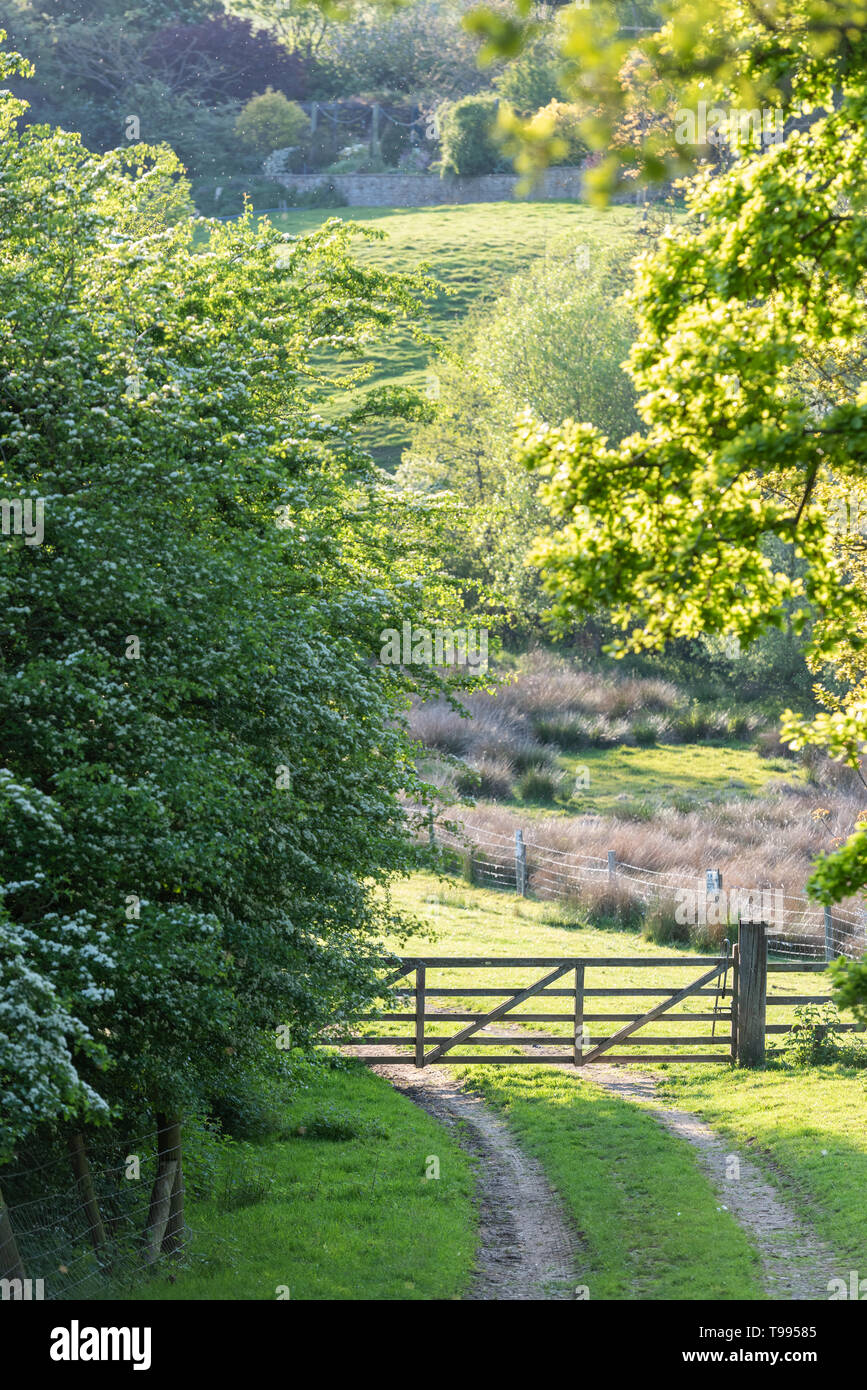 Rutted track hi-res stock photography and images - Alamy