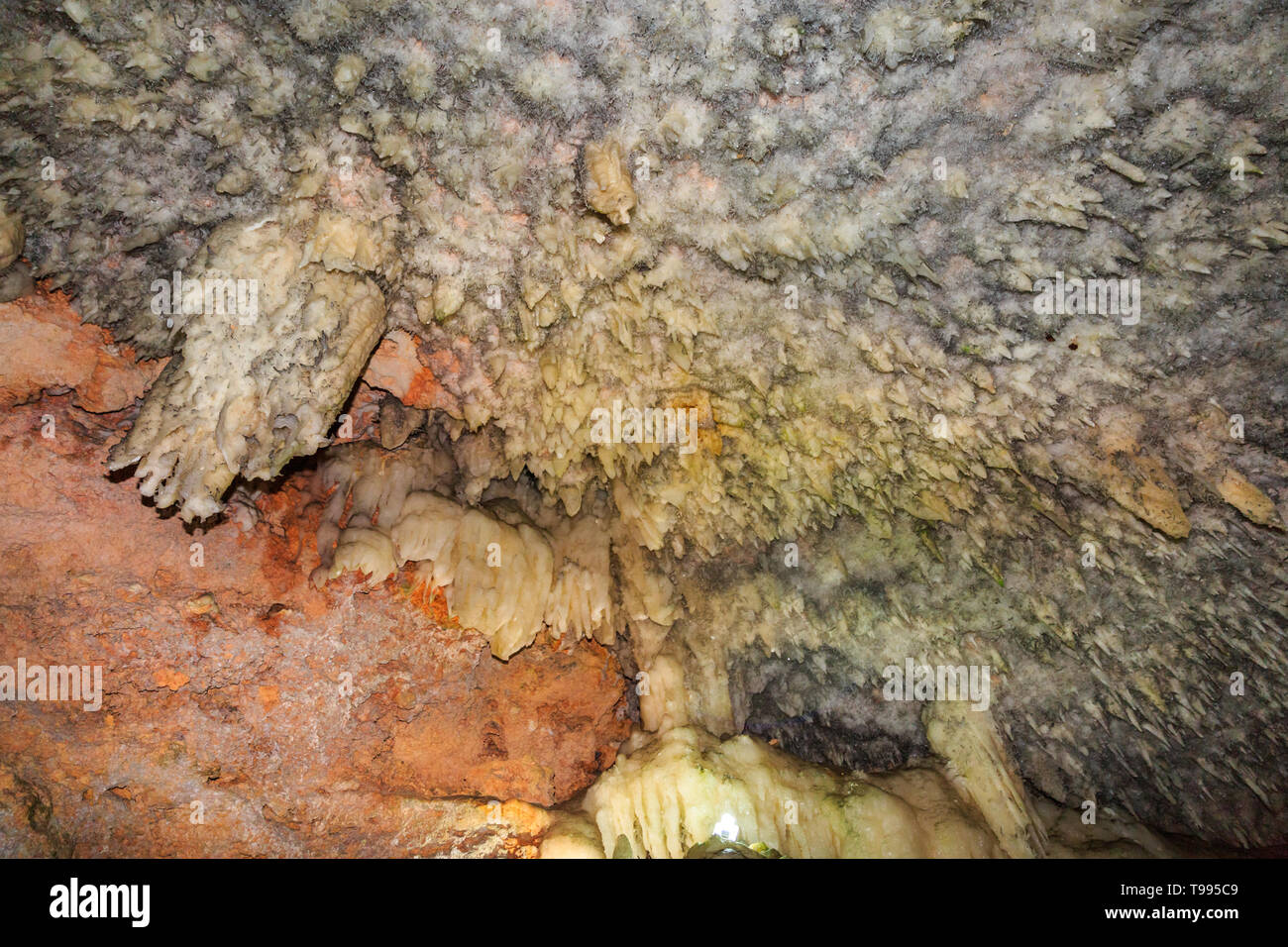 Cuevas Bellamar Caves, stalactite icicles hanging from the ceiling of ...