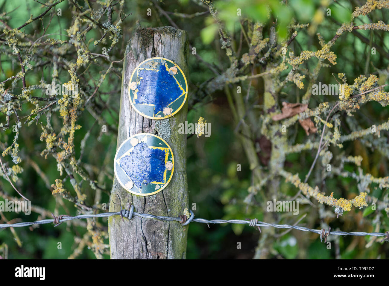 Directional arrows hi-res stock photography and images - Alamy