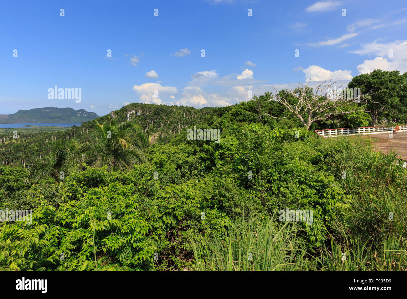 Mayabeque province hi-res stock photography and images - Alamy