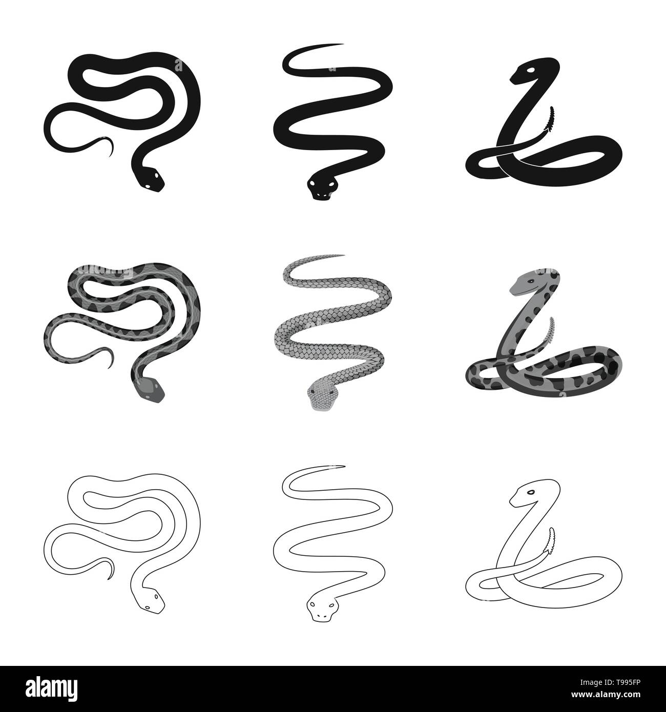 viper,snake,tail,python,forest,spiral,animal,seamless,leather,green ...