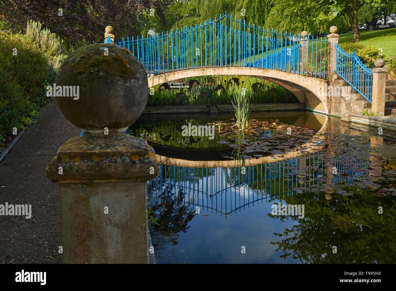 Blue bridge over Abbey Park lake in Evesham, England, United Kingdom ...