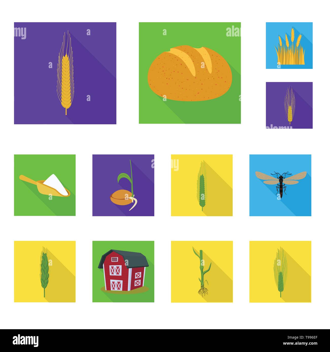 bread,spring,barley,flour,seed,fly,granary,stem,winter,spike,meal,grow ...
