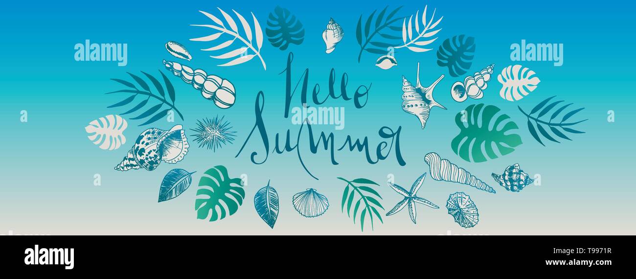 Vector seashell doodles full vector large banner Stock Vector Image ...