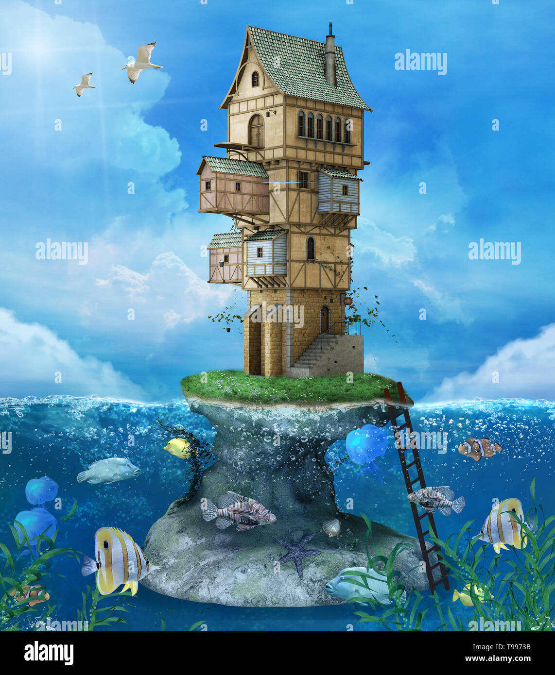 Sea ecosystem hi-res stock photography and images - Alamy