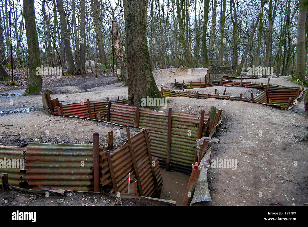 The preserved trenches at Hill 62 Sanctuary Wood on the Western Front ...