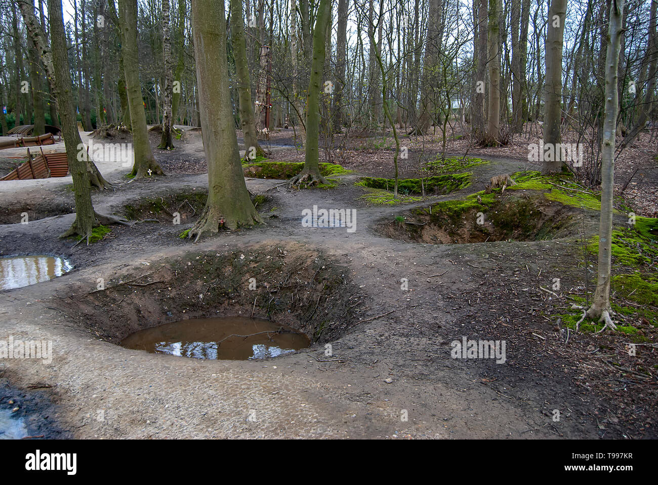 Preserved World War One Trenches High Resolution Stock Photography and ...