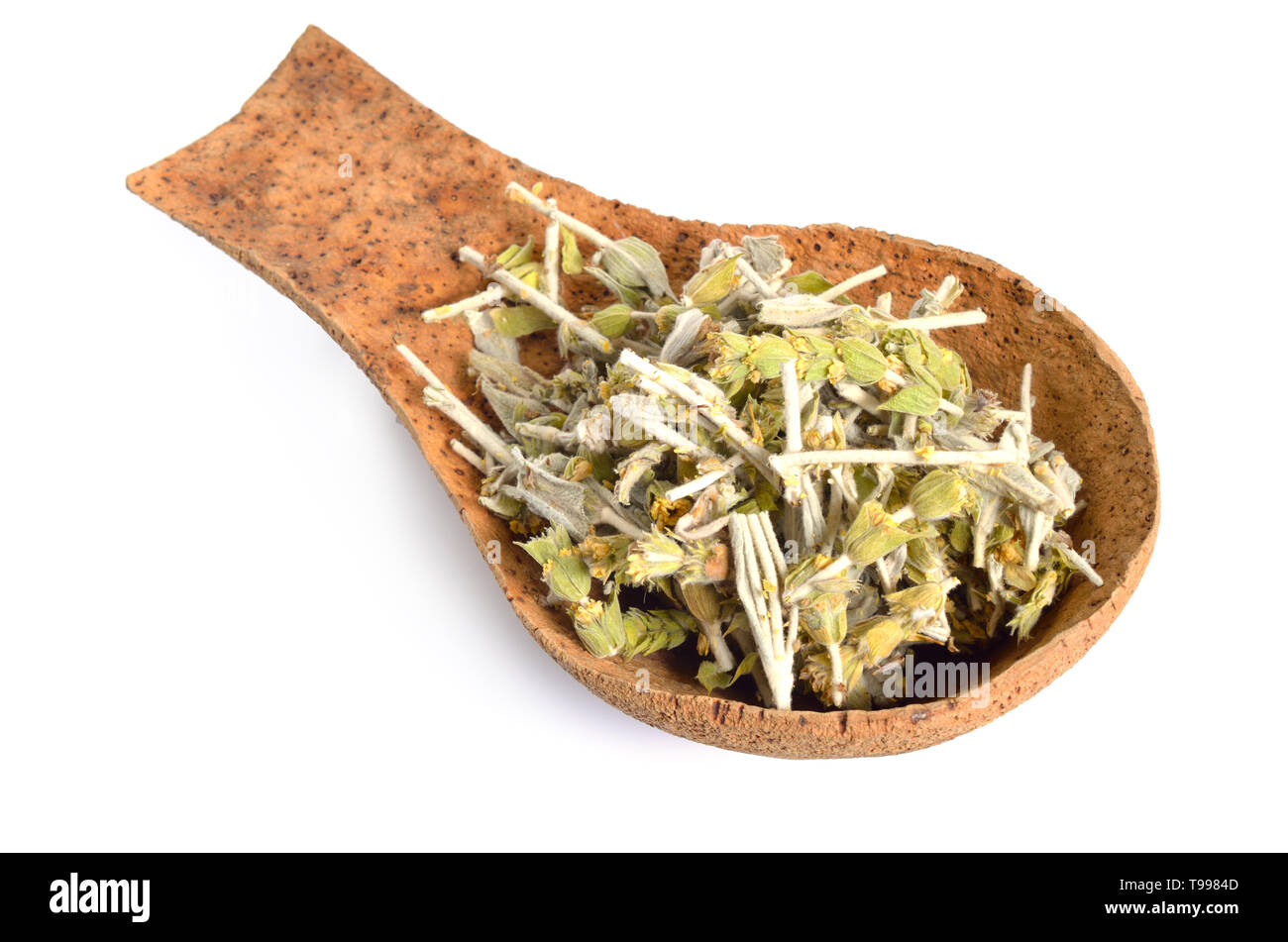 Sideritis, also known as ironwort, Greek mountain tea and shepherd's ...