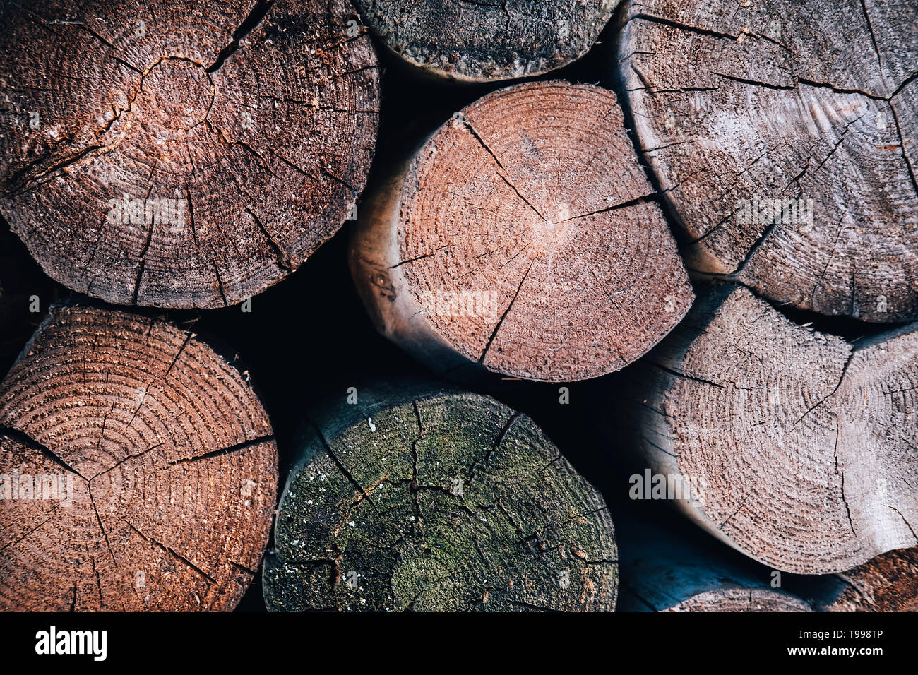 Colored logs. Old wooden texture background. Creat background with copy ...
