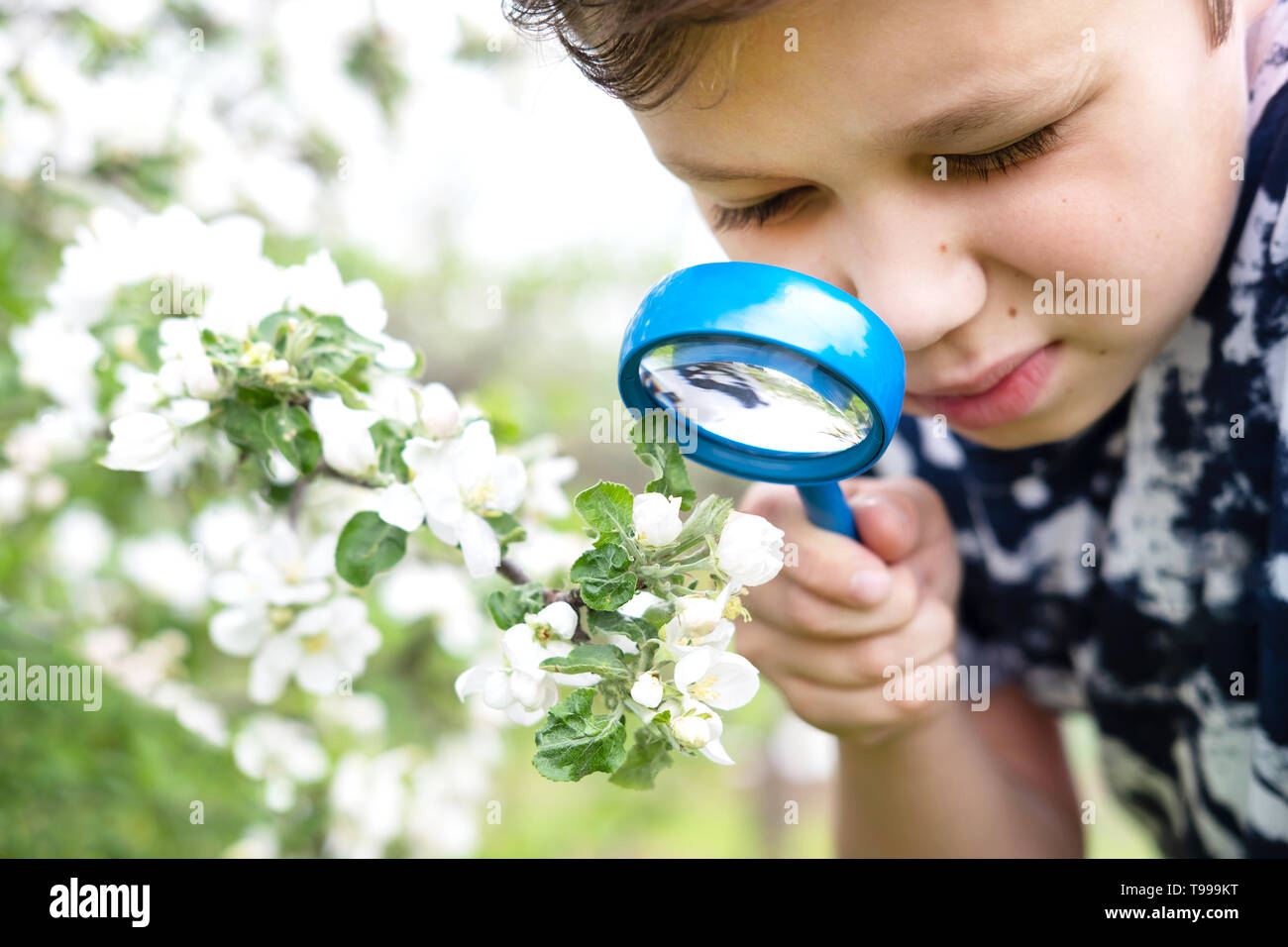 Little boy looking at flower through magnifier. Charming schoolboy ...