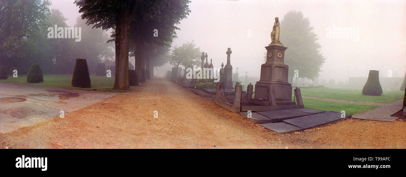 graveyard with some old graves early in the morning in autumn with some ...