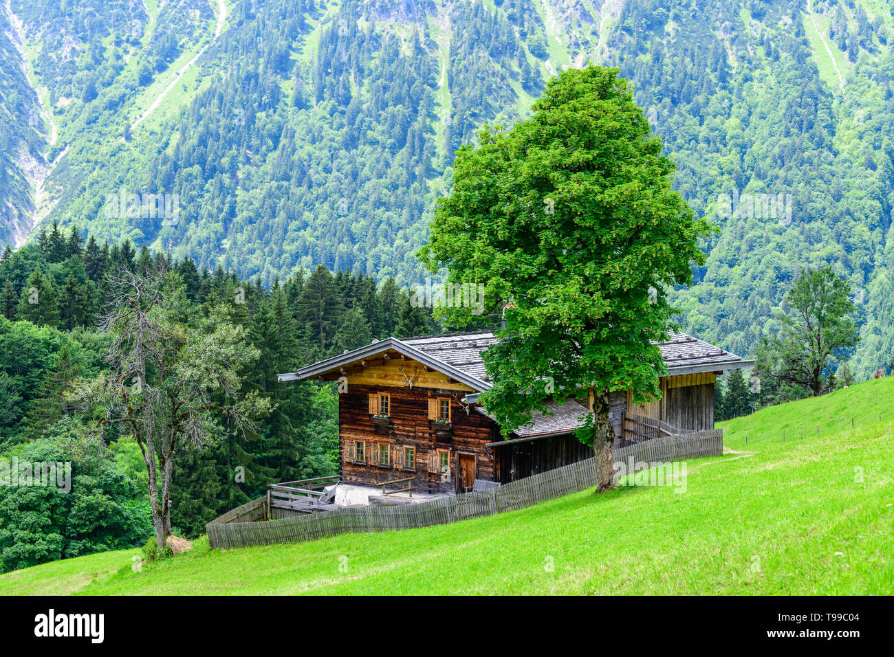 Village hamlet alpine houses hi-res stock photography and images - Alamy