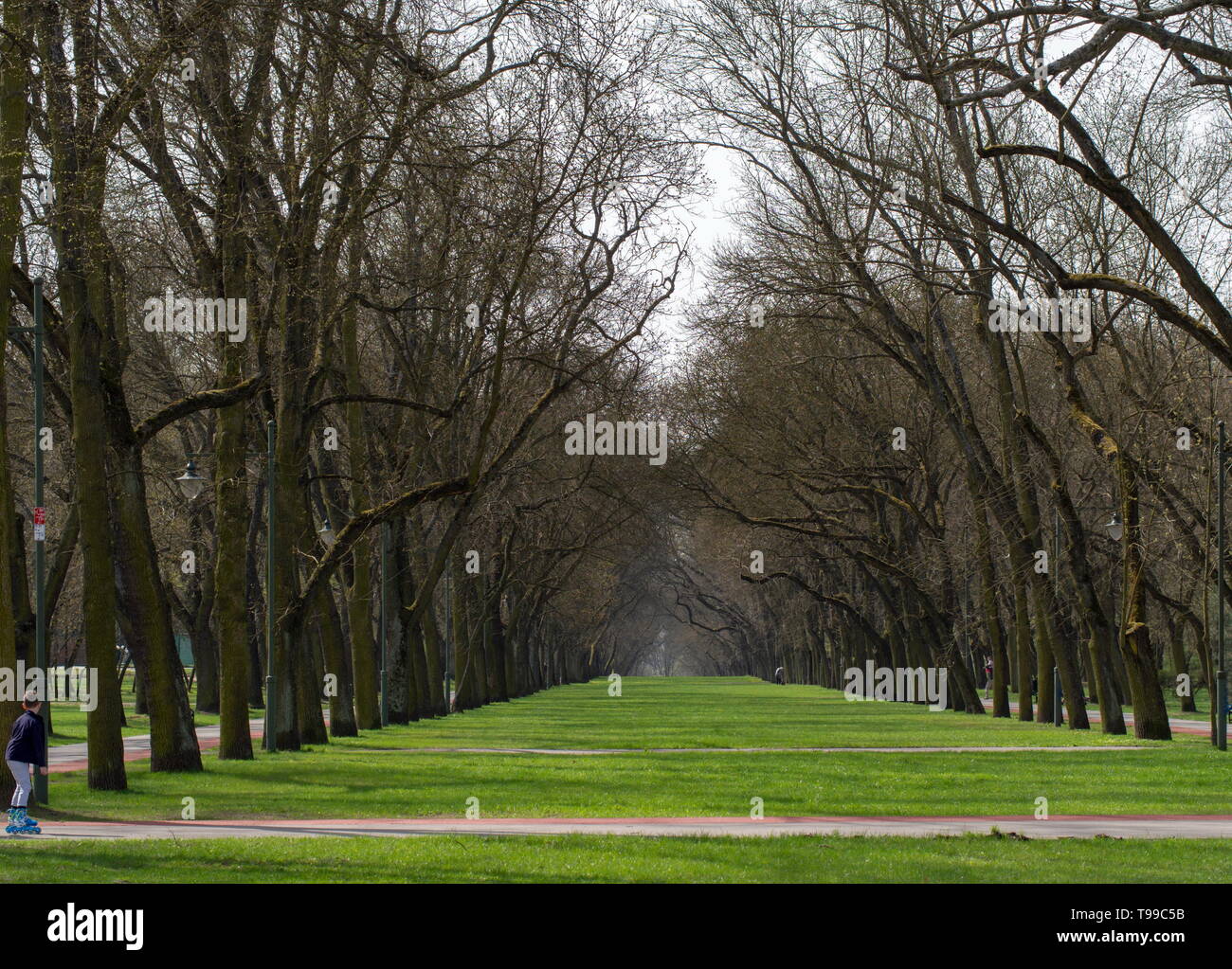 Grass place hi-res stock photography and images - Alamy