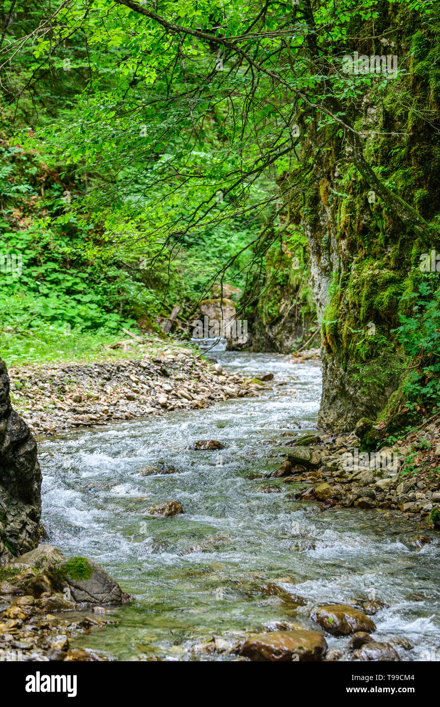 A small river in upper Allgäu meandering in a gorge Stock Photo - Alamy