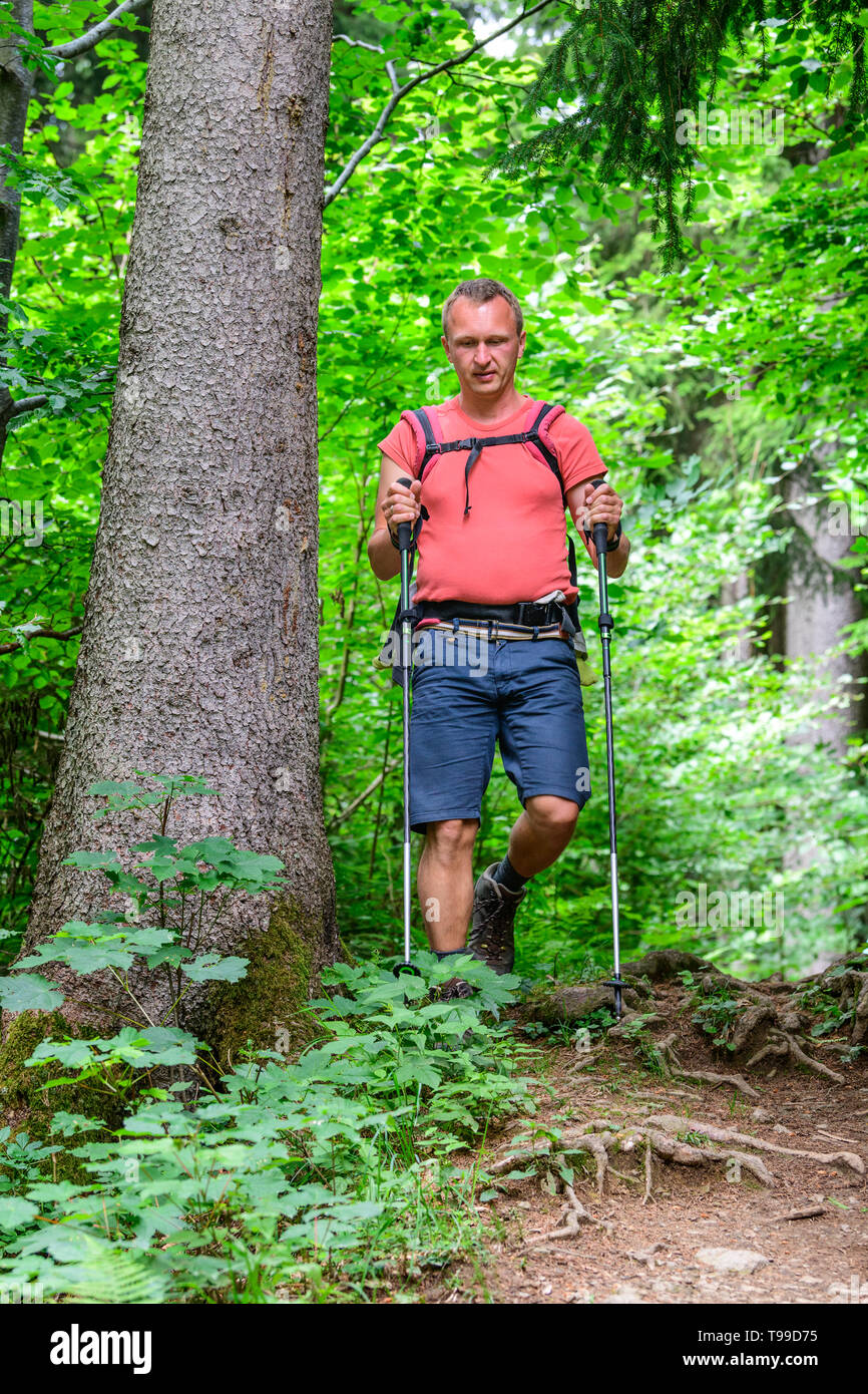 Rooted path hi-res stock photography and images - Alamy