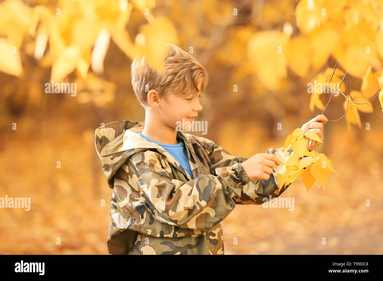 Cute little boy near tree in autumn park Stock Photo - Alamy