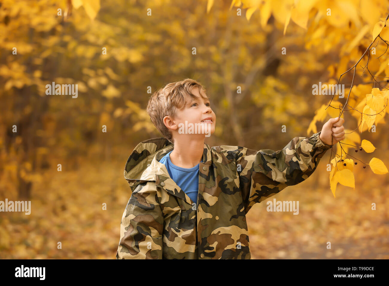 Cute little boy near tree in autumn park Stock Photo - Alamy