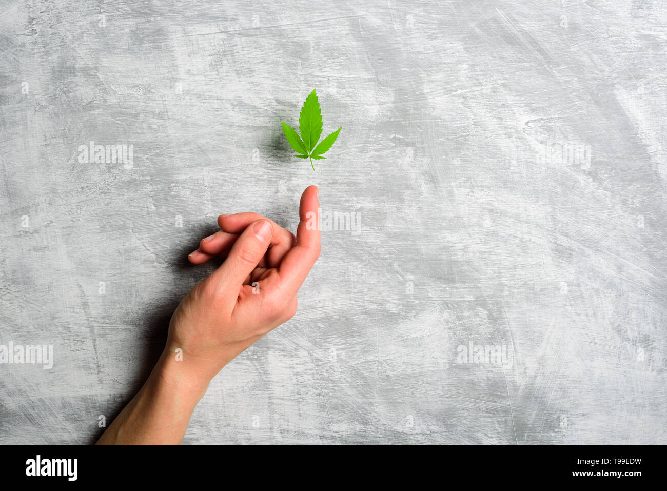Hand with hemp leaf on grey concrete background Stock Photo - Alamy