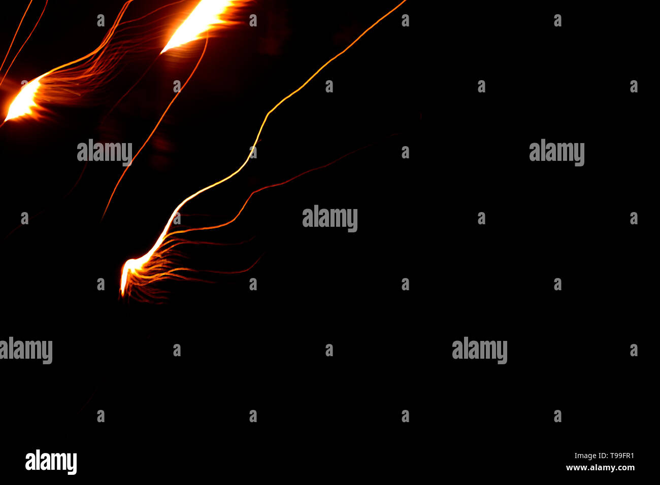 Neural neuron stem cell isolated on black background Stock Photo - Alamy