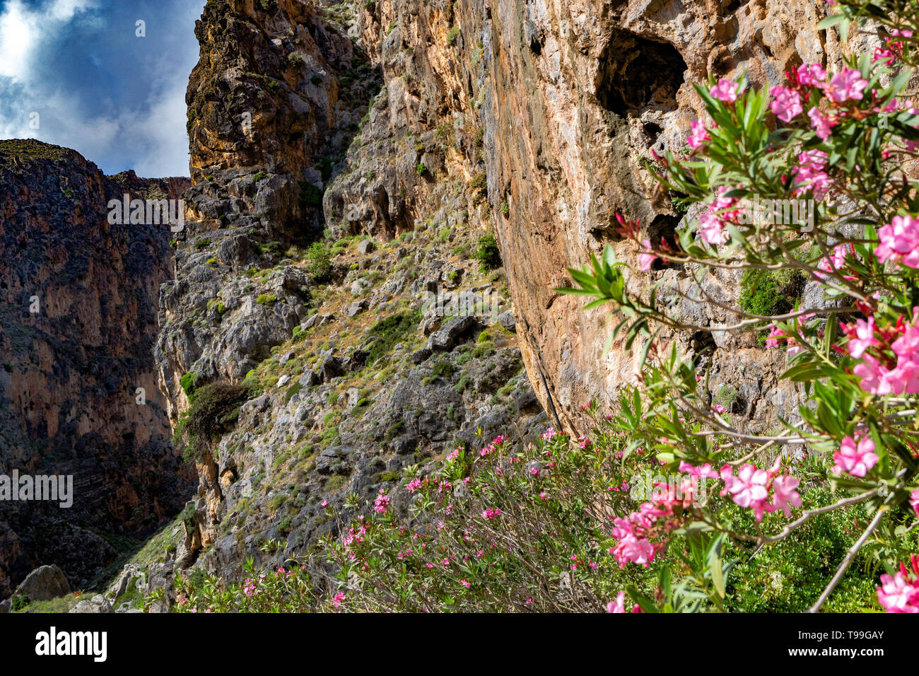 Crete nature hi-res stock photography and images - Alamy