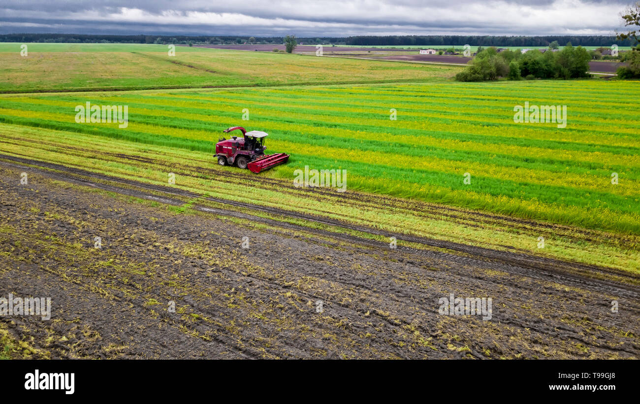Red harvester hi-res stock photography and images - Alamy