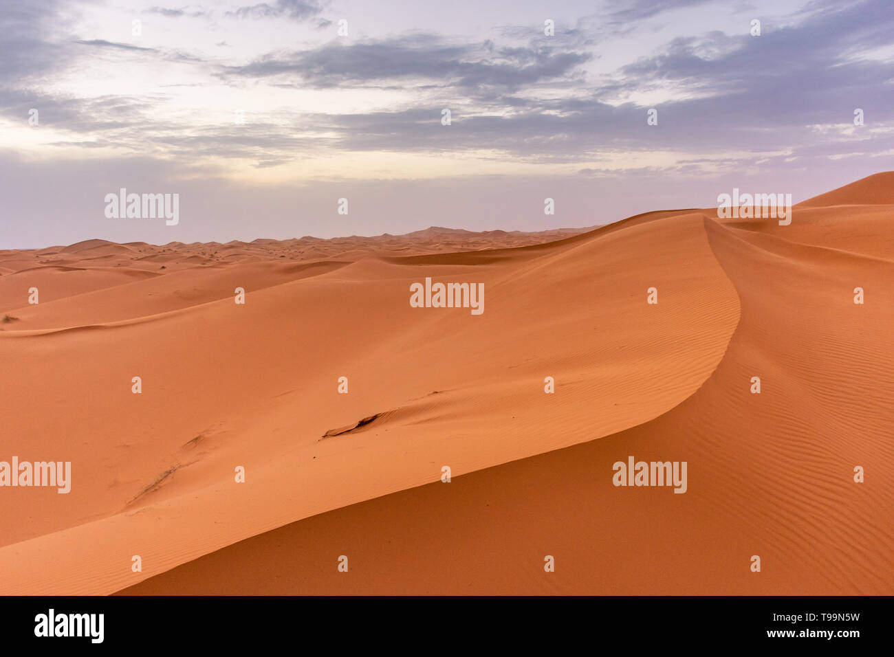 Beautiful landscape of the dunes of the Sahara Desert at dusk, Merzouga ...
