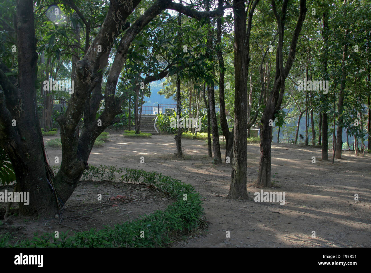 Is shaded by lofty trees hi-res stock photography and images - Alamy