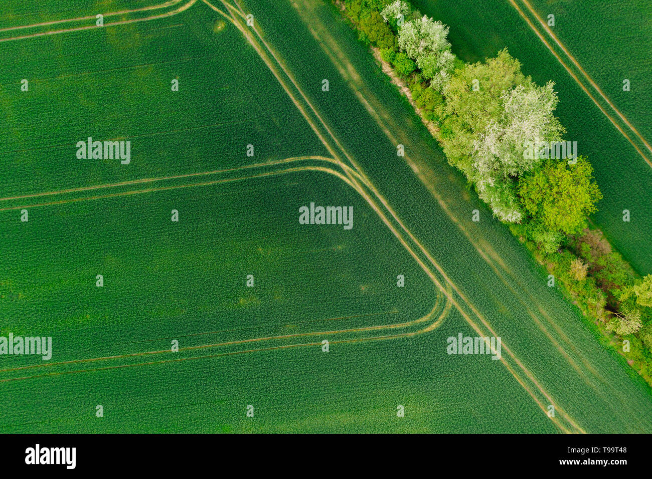 Aerial photography of a fields in central Europe Stock Photo - Alamy