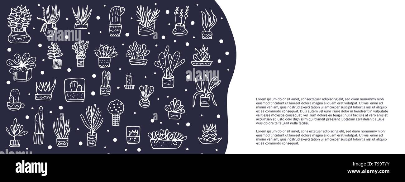 Banner template with succulents in doodle style. Set of house plants ...
