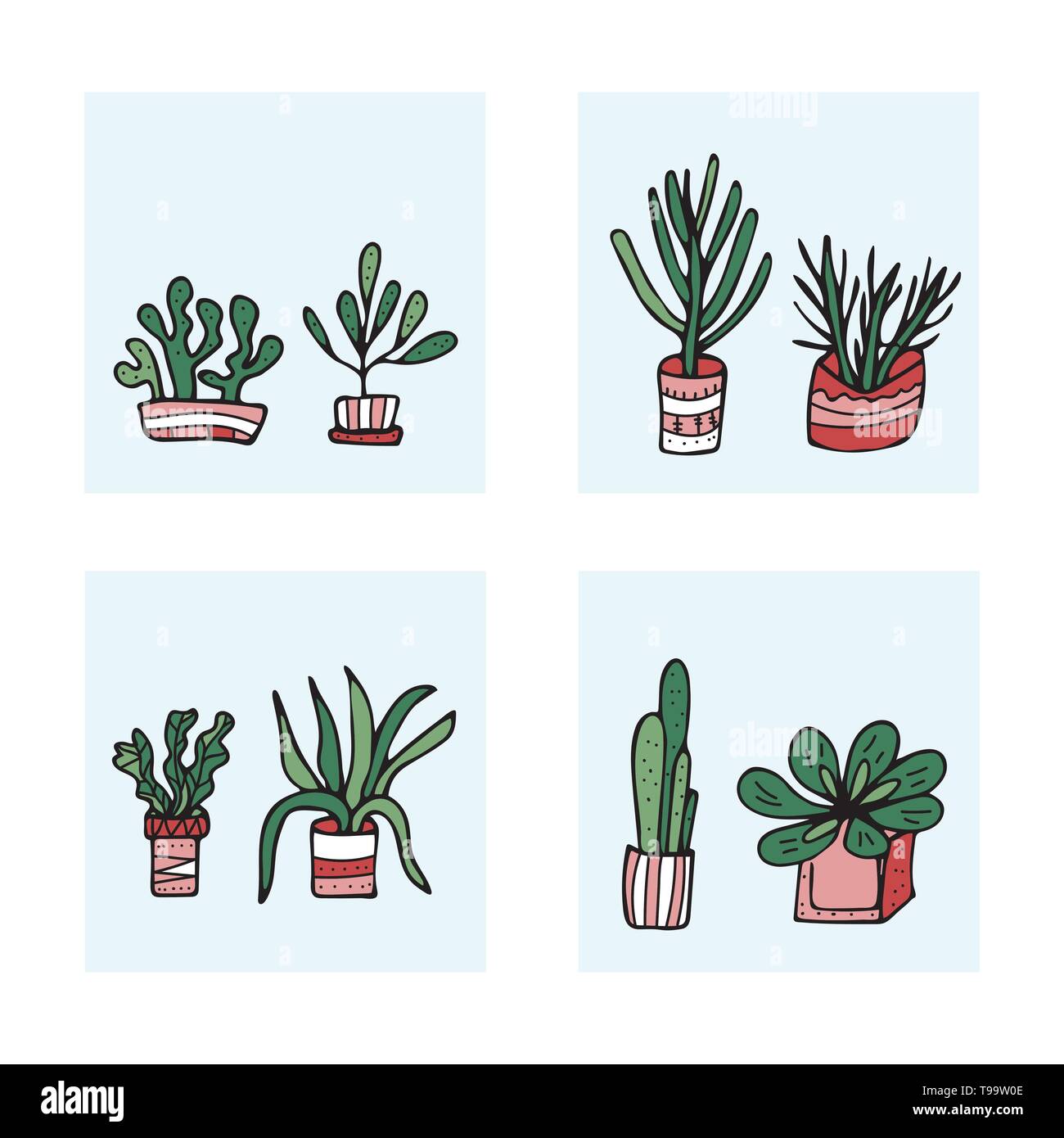 Succulent Drawing Tumblr