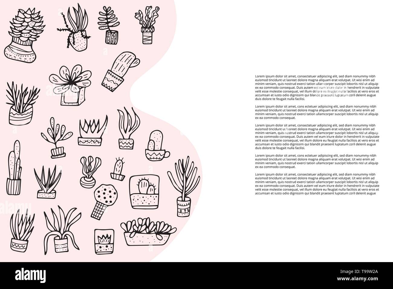 Banner template of succulents in doodle style. Set of house plants ...