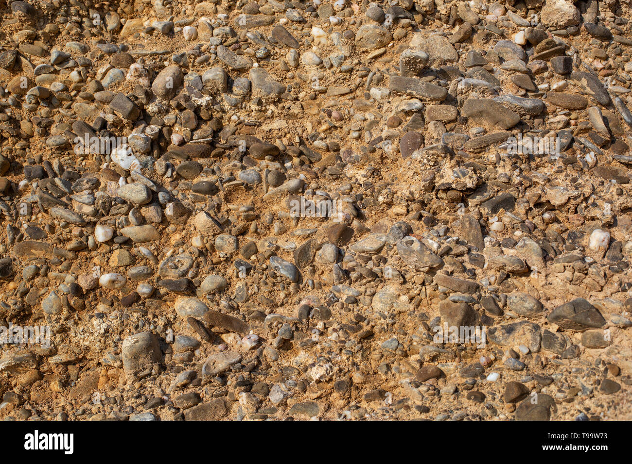 texture of earth with shells and stones Stock Photo - Alamy