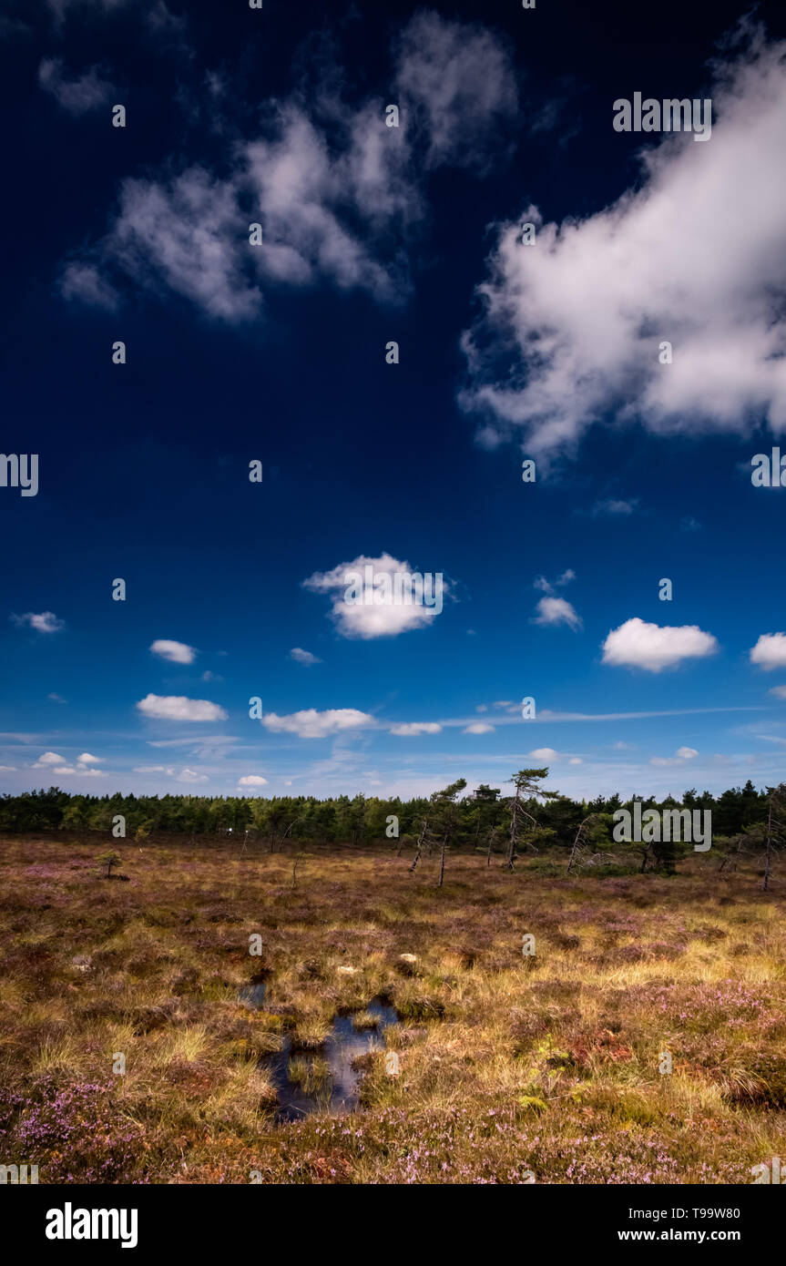 German countryside: Rotes Moor (Red Moor Stock Photo - Alamy