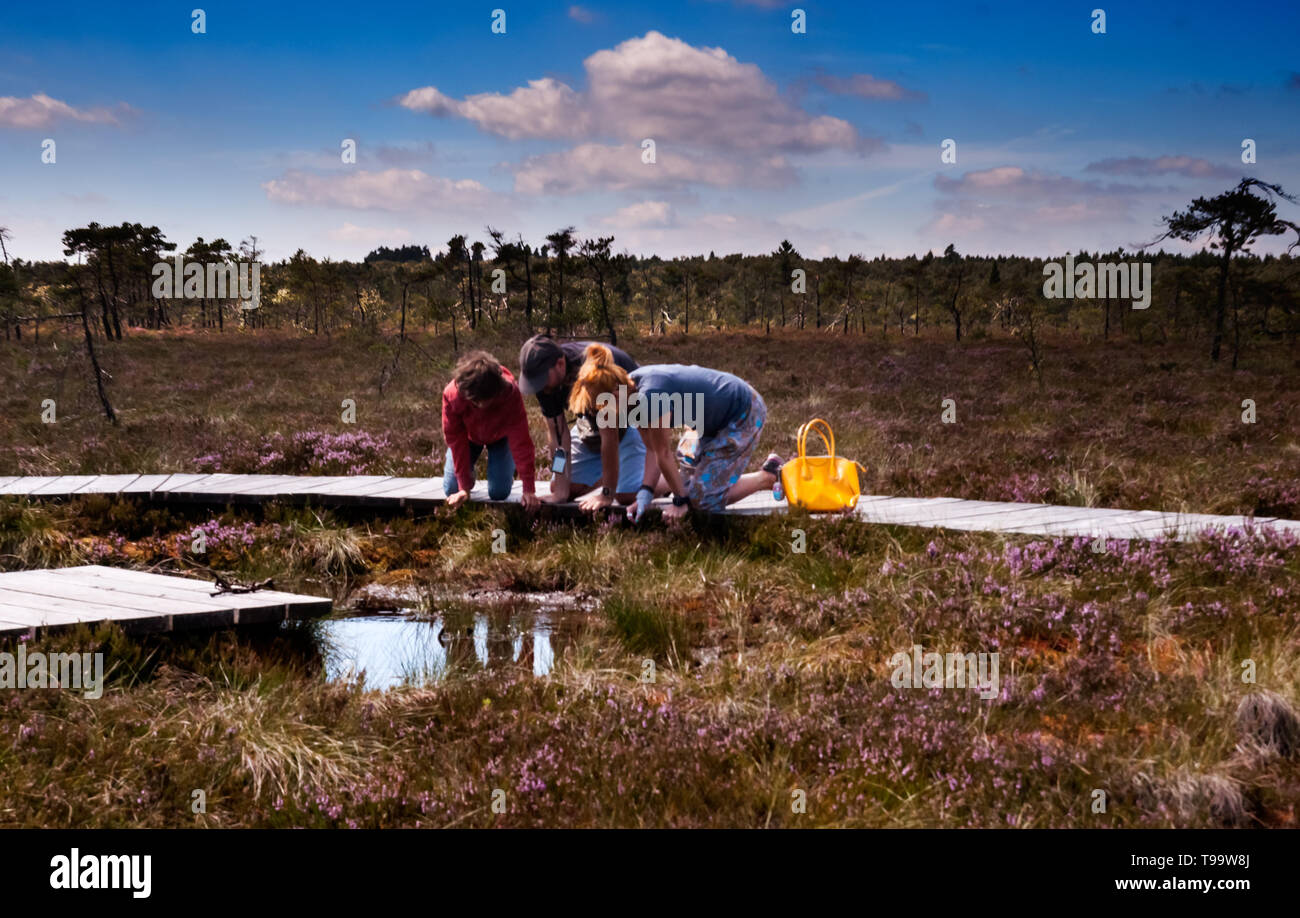Rotes moor hi-res stock photography and images - Alamy