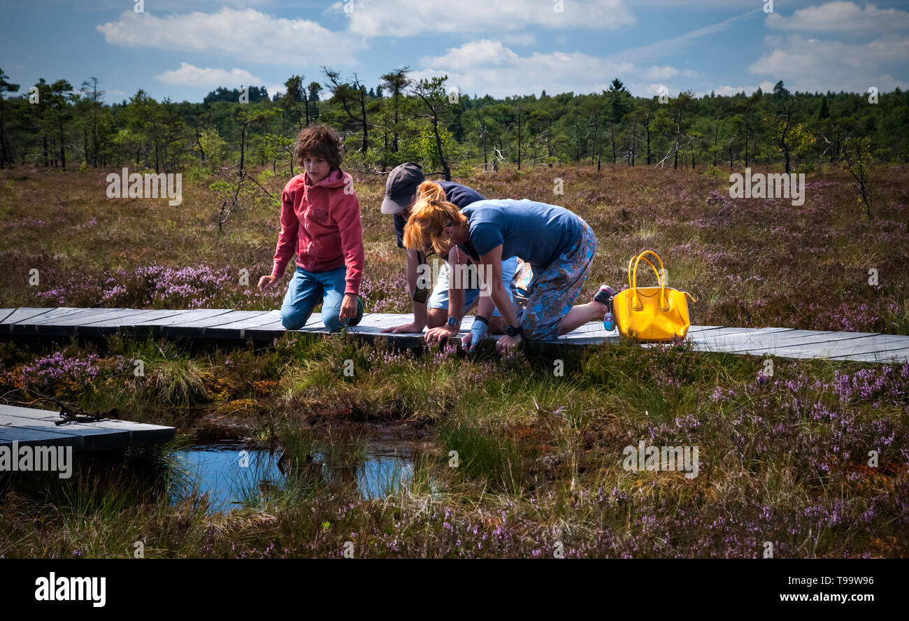 German countryside: Rotes Moor (Red Moor Stock Photo - Alamy