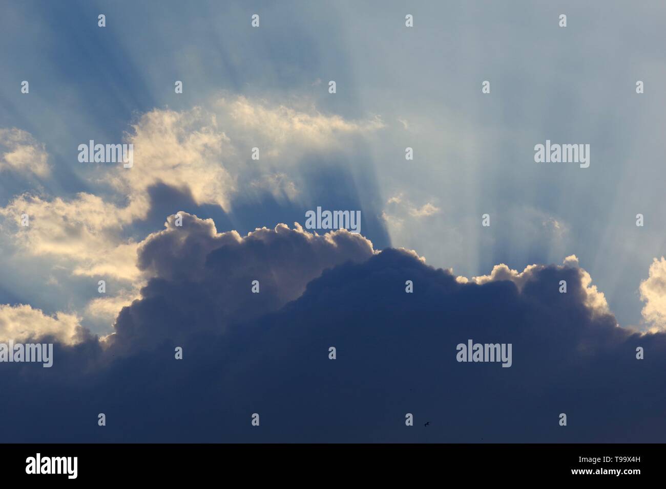Stunning Crepuscular Sun Rays from Behind Cumulus Mediocris Cloud at ...