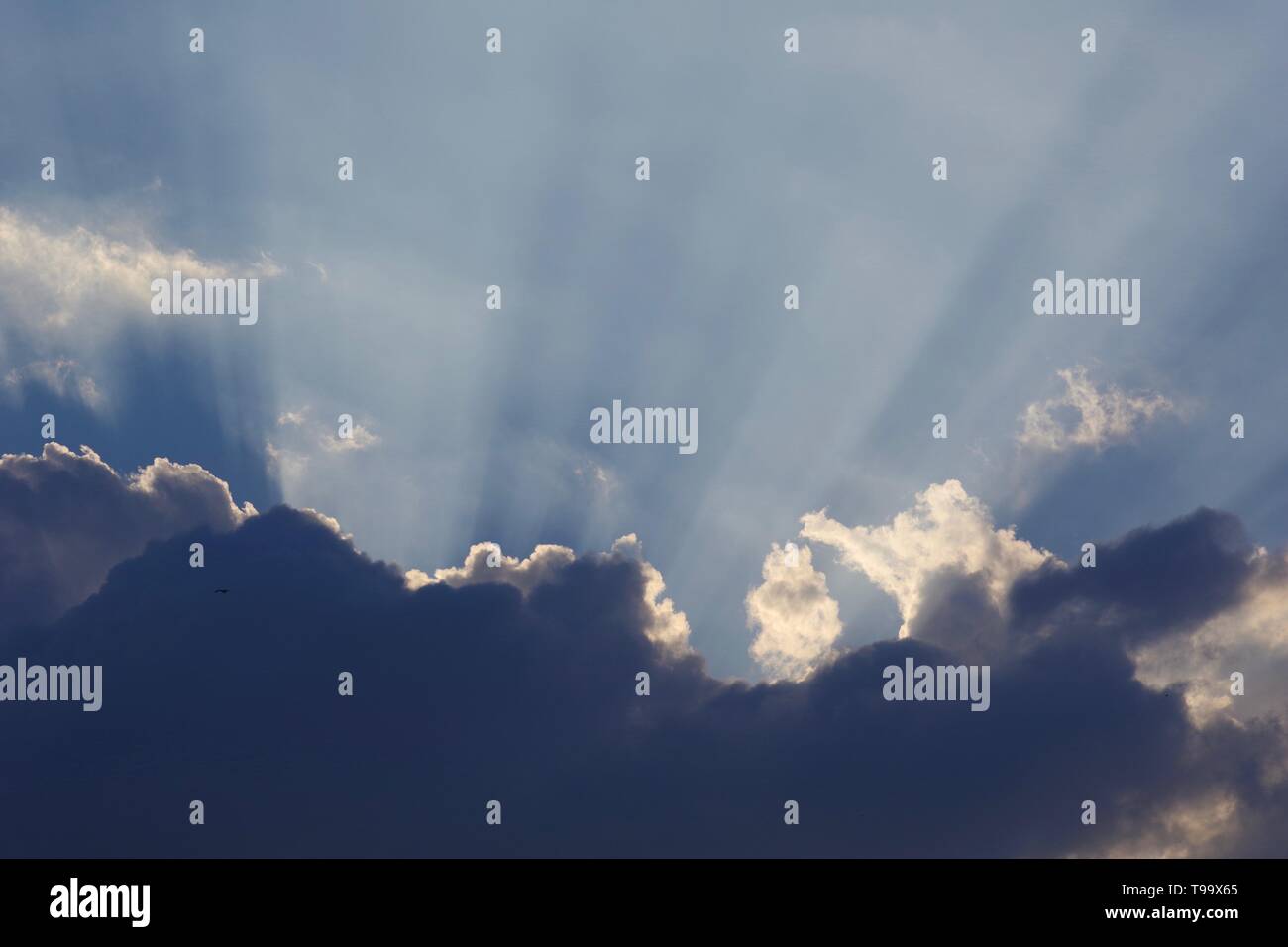 Stunning Crepuscular Sun Rays from Behind Cumulus Mediocris Cloud at ...
