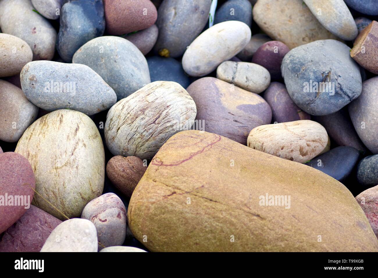 Natural Background of Colourful Carboniferous Sandstone Pebbles along ...