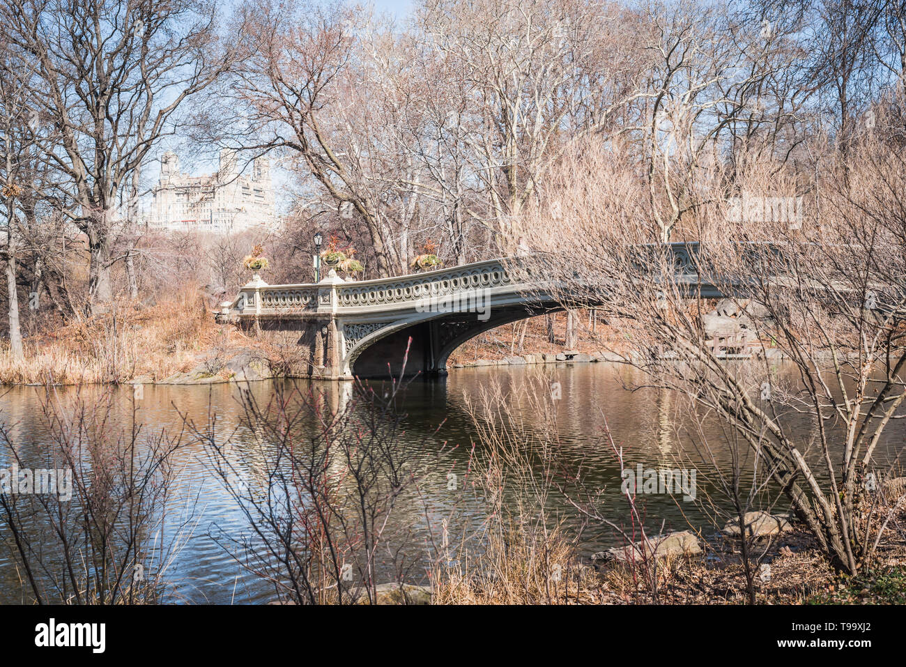 Lake Bow Bridge landscape through the leafless branches of late winter ...