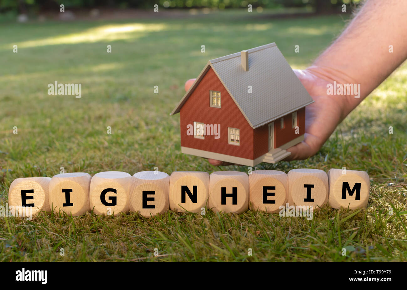 A hand holds a model house above a meadow. Dice form the German word ...