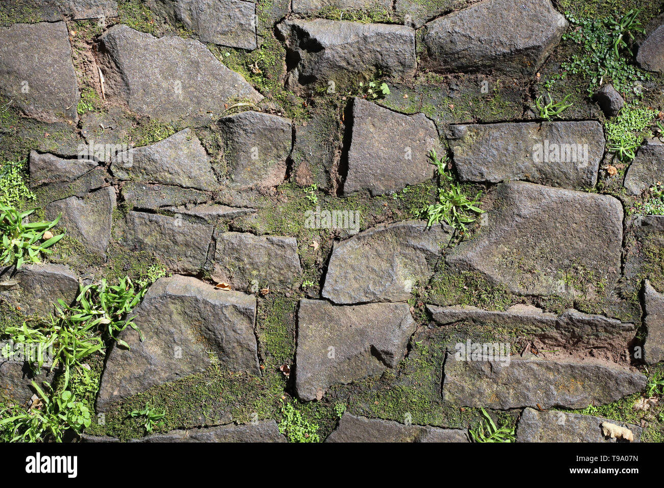 Lovely texture of an outdoor floor made of asymmetric rocks / tiles. In ...