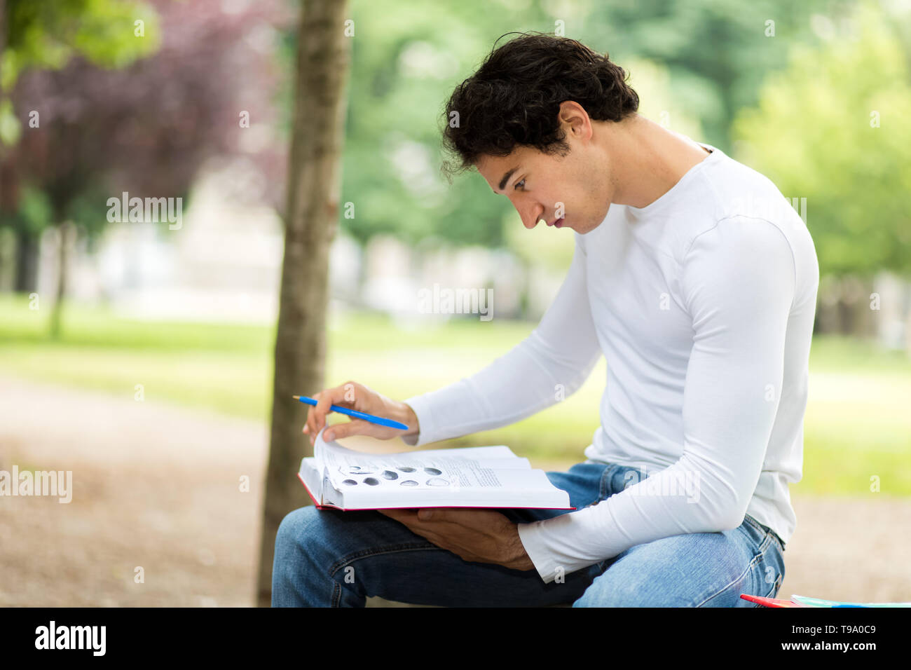 Young man reading book bench hi-res stock photography and images - Alamy