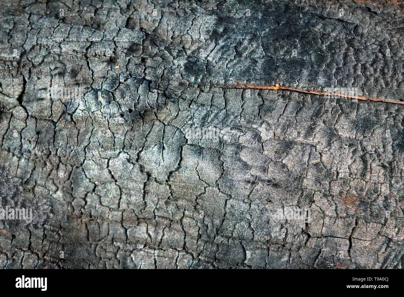 Burnt wooden Board texture. Burned scratched hardwood surface Stock ...