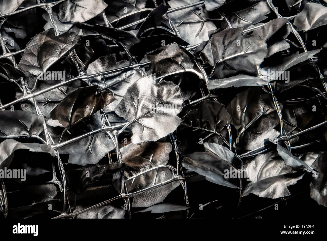 Having a look Stock Photo - Alamy