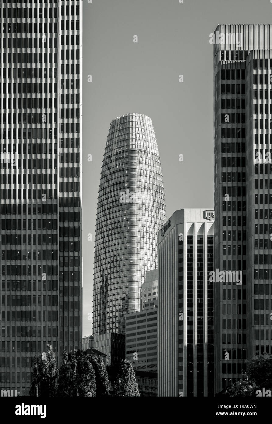 Salesforce Tower between other skyscrapers in San Francisco, California ...