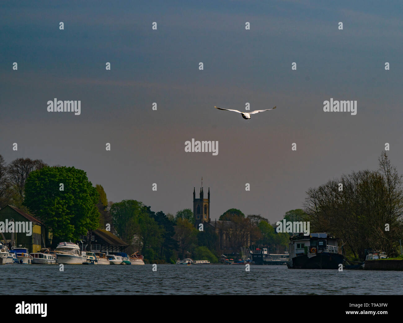 river thames landscape Hampton Church Stock Photo - Alamy