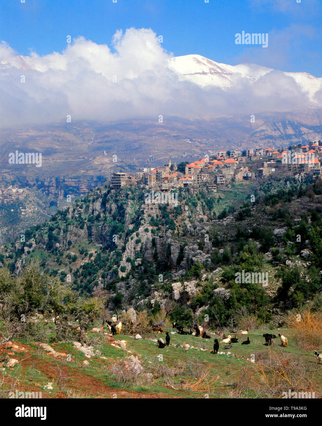 Bcharre hi-res stock photography and images - Alamy