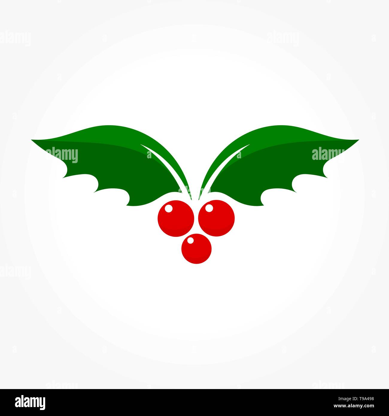 Holly berry Christmas icon Stock Vector Image & Art - Alamy