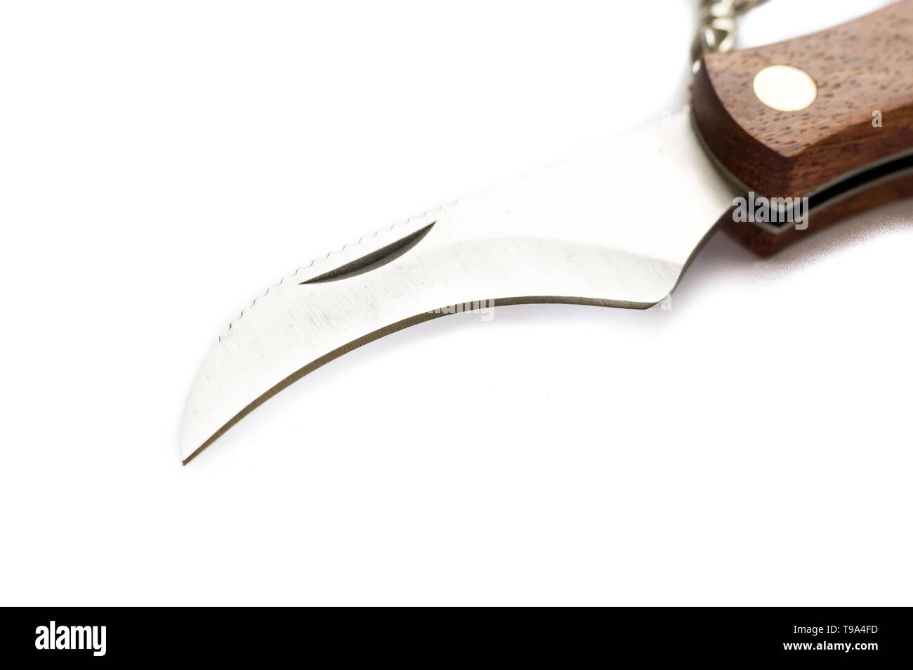 Knife in the shape of a sickle. A sharp knife with a saw Stock Photo ...