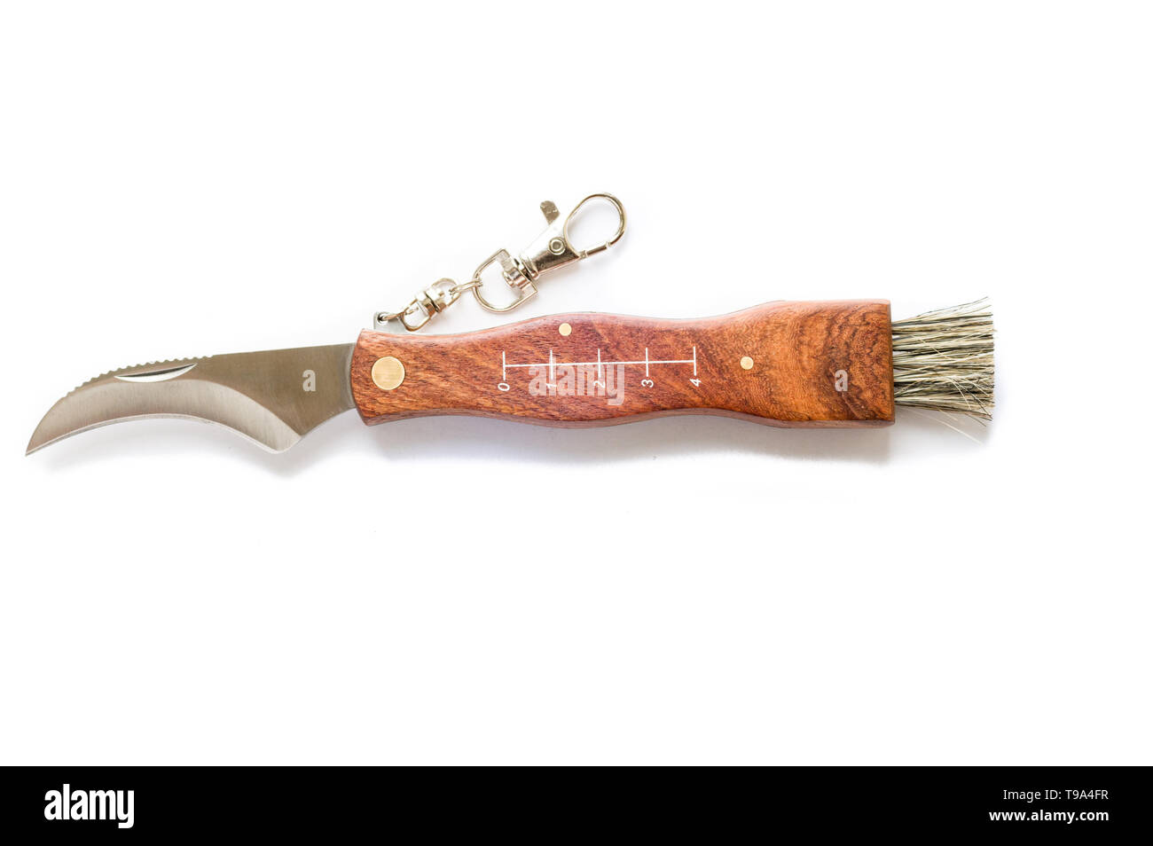 Knife with a brush and a ruler. Unusual knife Stock Photo - Alamy